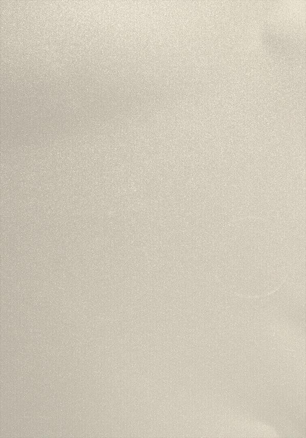 CHAMPAGNE SILVER (VL 711)