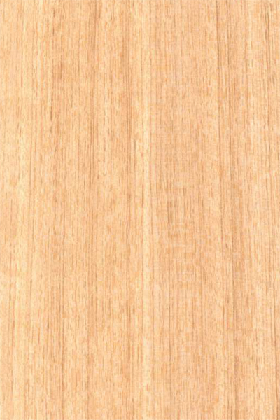 Urban Teak (SK_2356)