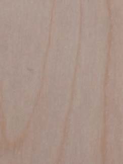 APPLE BIRCH (APPLE BIRCH)