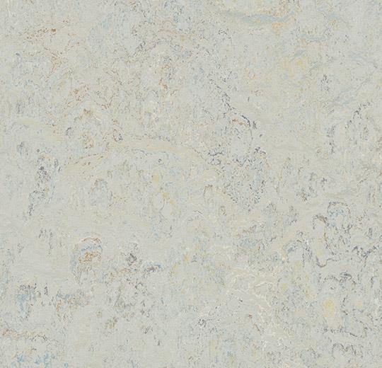seashell (3428)