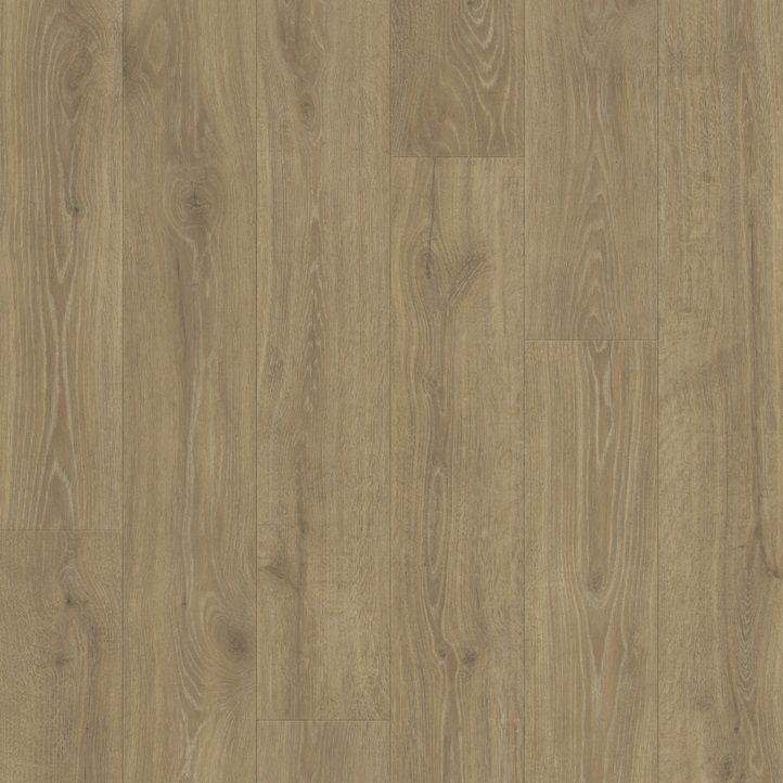 BEACH OAK, PLANK (L0334-03569)