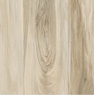 SAMBA IVORY (SAMBA IVORY)