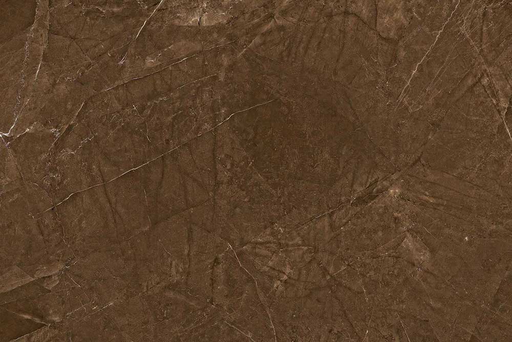 Pulpis Bronze (Pulpis Bronze)