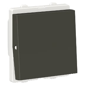 Clipsal X switch 1-way 10A 2 modules (CPX101SW2M_GY)