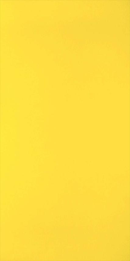 DIVINE YELLOW (207 HDG)