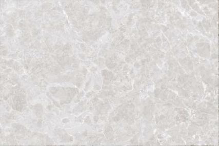 WILSON GREY (WILSON GREY)