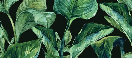 Novoceno Pine (10659 SF),Merino Laminates - The Design Bridge