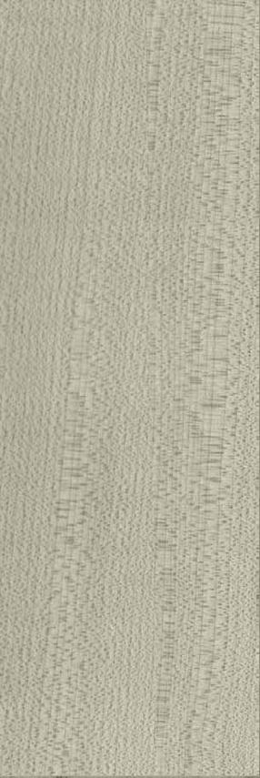 Silver Cypress (Silver Cypress)