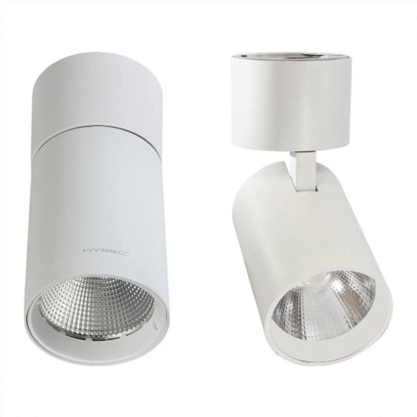 INDOOR / LED SURFACE SPOT LIGHT (HLS-3034)