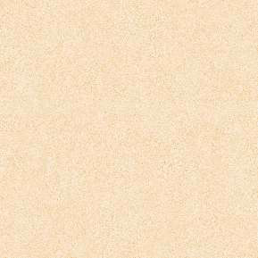 REAL BEIGE (REAL BEIGE)