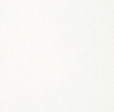 WHITE 101 (WHITE 101)
